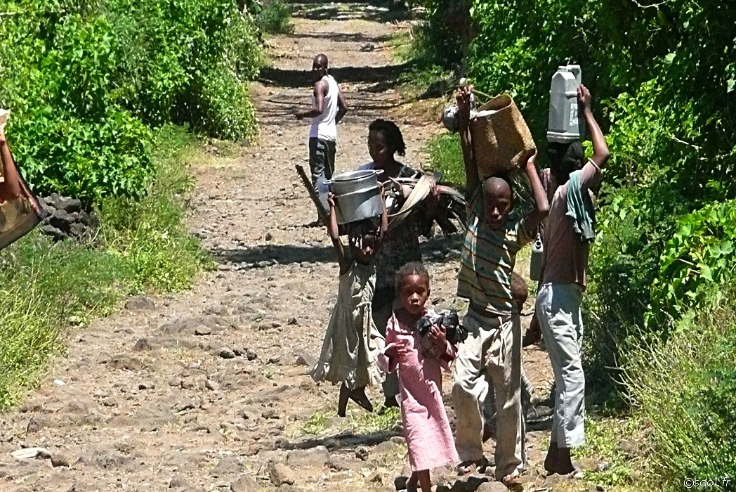 Association – SDOI